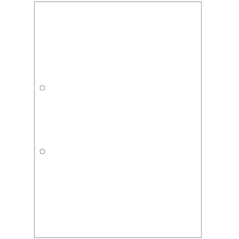 FSC®認証 マルチプリンタ帳票 複写タイプ A4 ノーカーボン 白紙 2穴｜HISAGO ヒサゴ株式会社｜ラベル・伝票・雑貨・ラミネーター