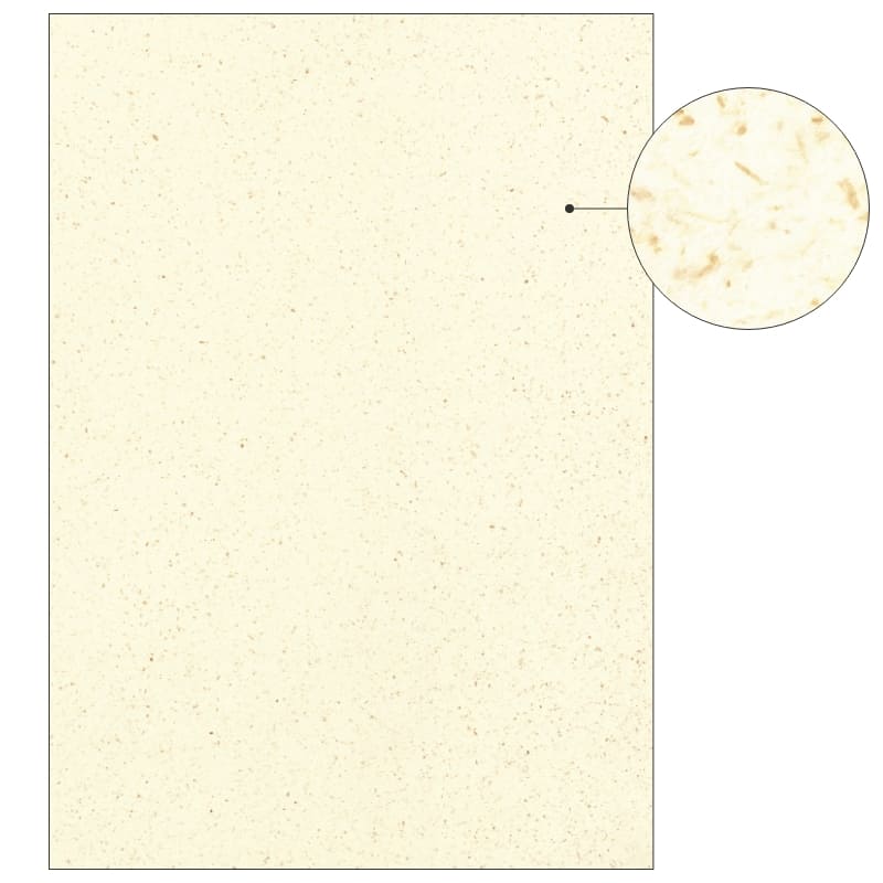 サステナブルクラッポ バナナ 20％｜HISAGO ヒサゴ株式会社｜ラベル・伝票・雑貨・ラミネーター